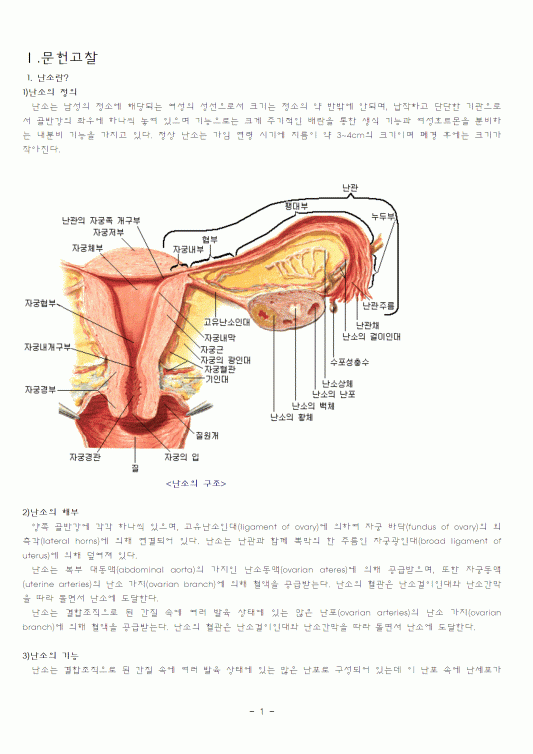 난소종양 대상자의 간호중재