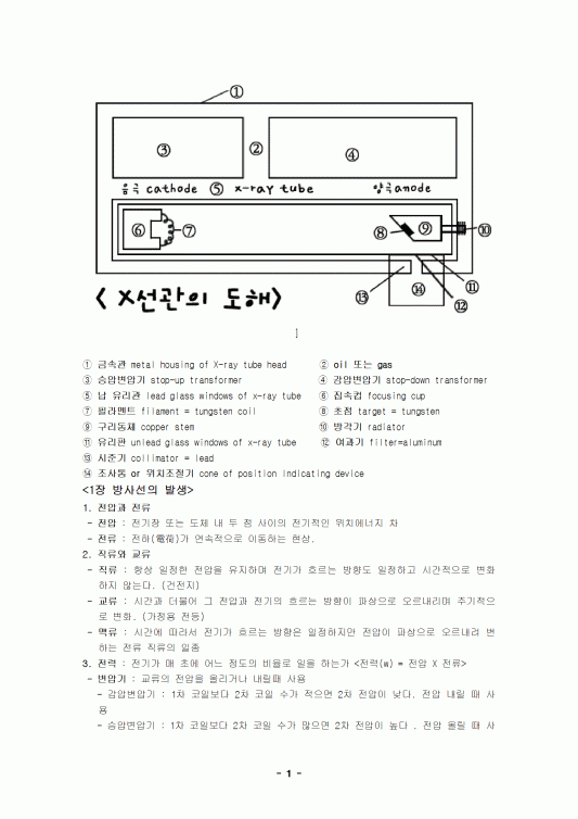 구강방사선학