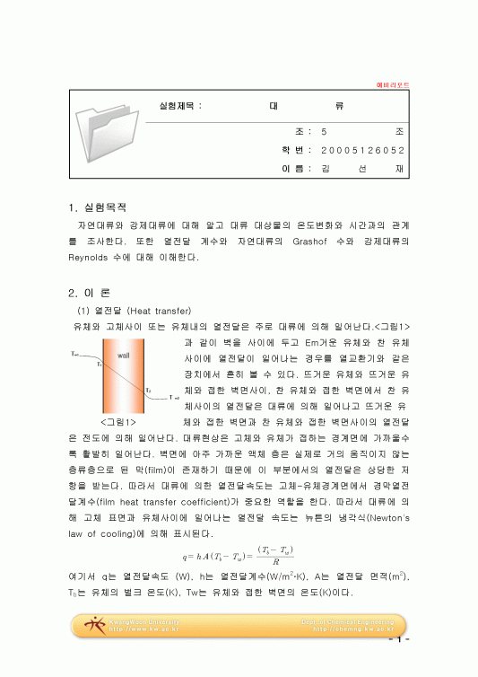 대류 예비레포트.