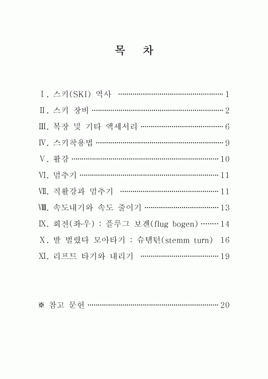 [체육교육] 스키의 이해