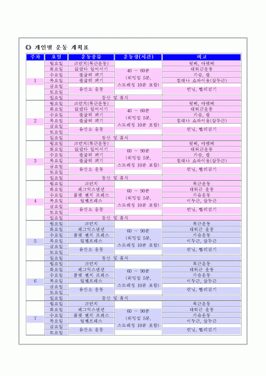 체력관리와 건강(개인별운동계획표)