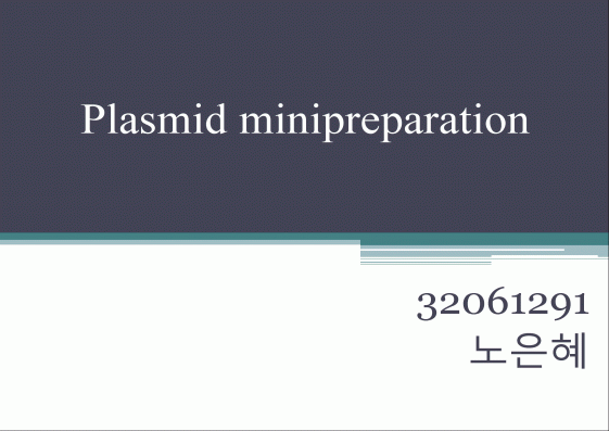 Plasmid minipreparation