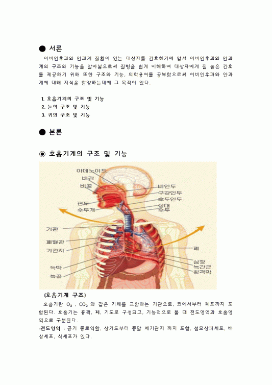 성인간호학레포트-호흡기계,안과계,귀의 구조 및 기능