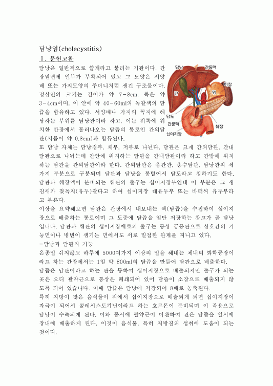 [성인간호학]외과 담낭염(cholecystitis) 케이스, case study