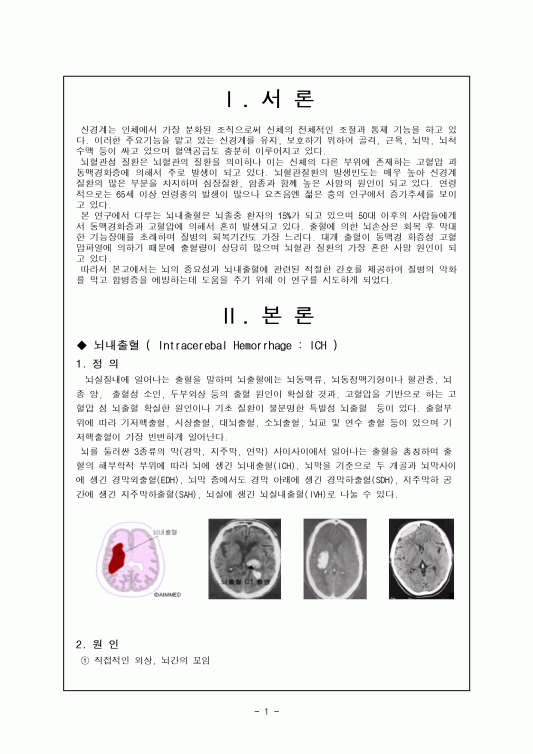 뇌내출혈 문헌고찰