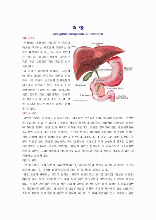 [성인간호학] 위암 케이스 스터디(case study)