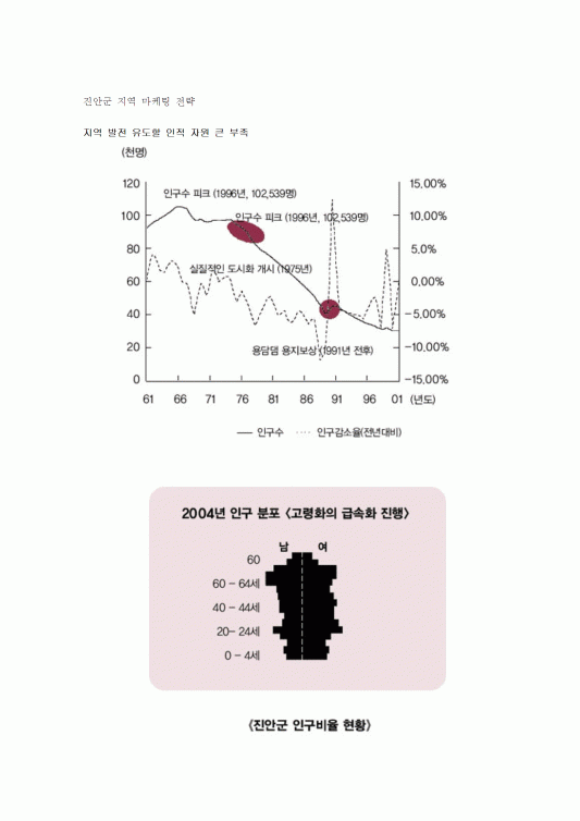 지역 마케팅 전략