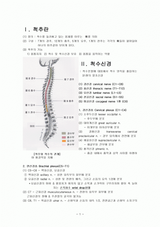 척수 손상 환자의 간호