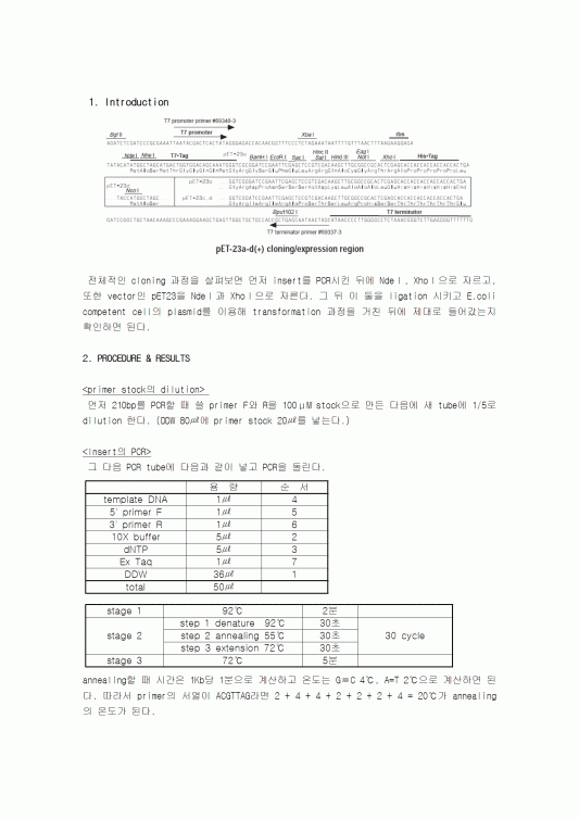 형질전환 실험