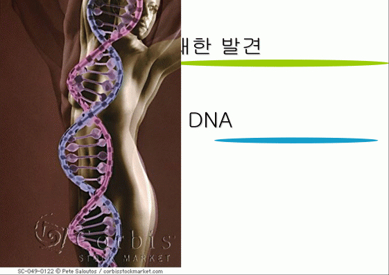 DNA의 구조와 특징 과학사에 미친영향