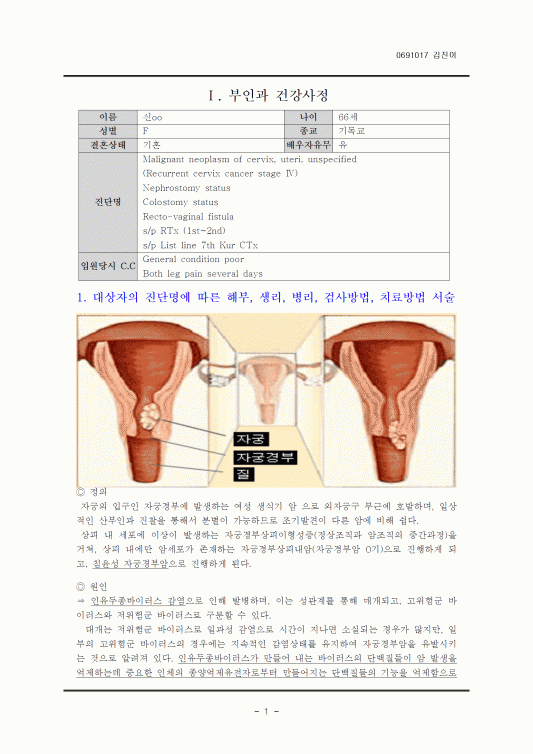 산부인과 실습 자궁암 case study