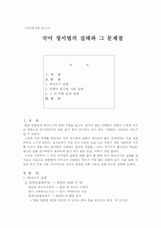 국어 정서법의 실태와 그 문제점