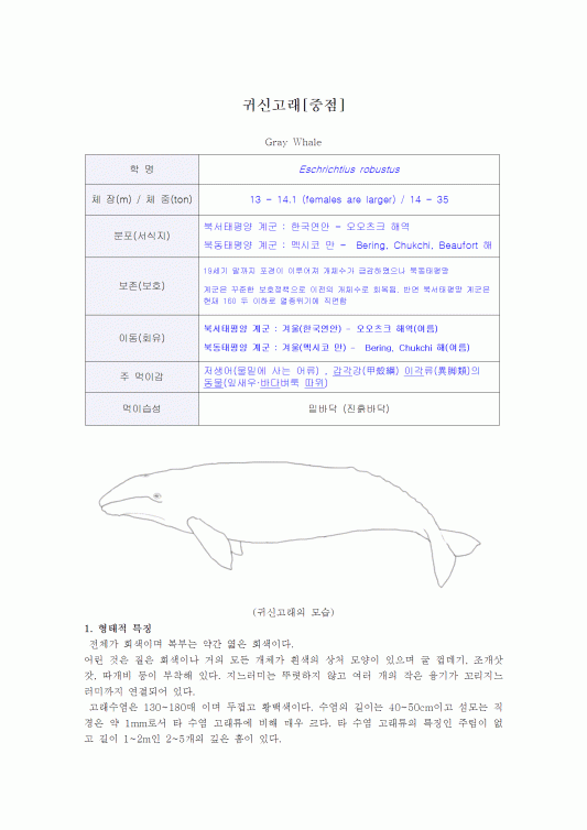 국내 고래 조사 레포트
