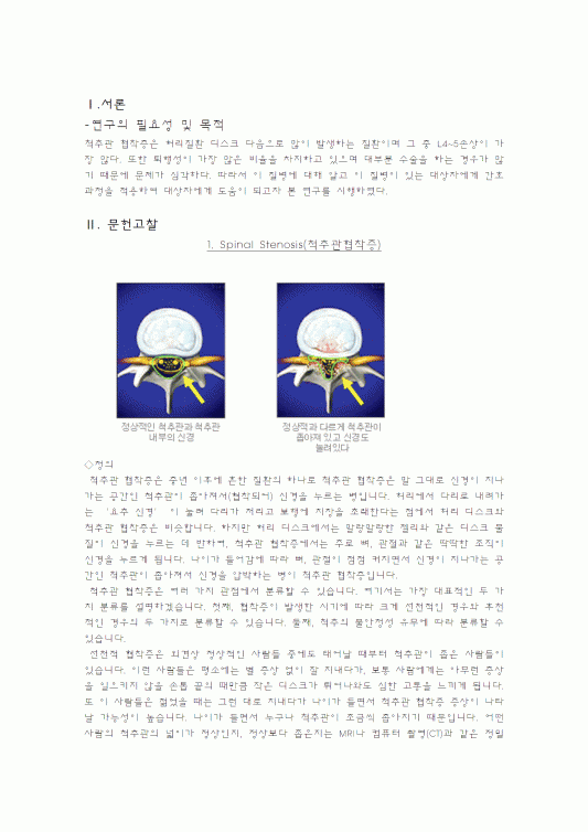 노인실습 케이스스터디(척추관협착증, 쇼그렌증후군)