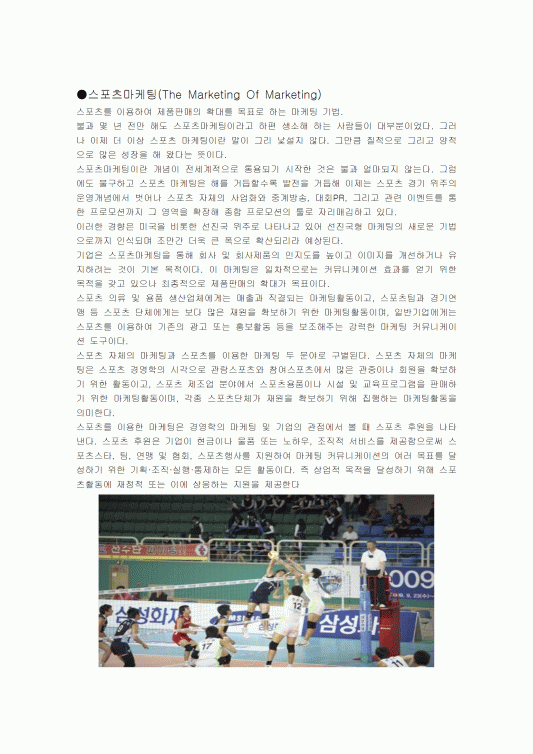 스포츠마케팅과 2010년 국내 스포츠마케팅 사례에 관한 고찰