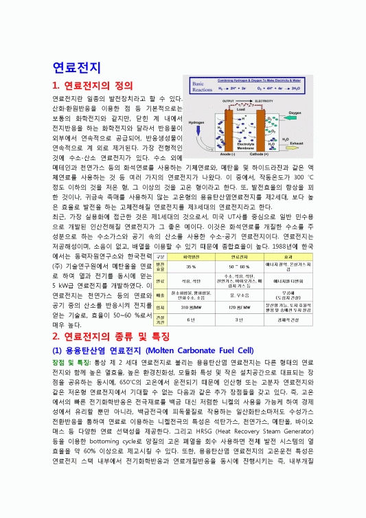 연료전지의 종류와 특징, 활용방안