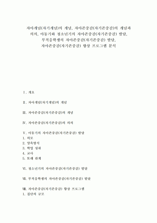 자아개념(자기개념)의 개념, 자아존중감(자기존중감)의 개념과 의의, 아동기와 청소년기의 자아존중감(자기존중감) 발달, 부적응학생의 자아존중감(자기존중감) 발달, 자아존중감(자기존중감) 향상 프로그램 분석