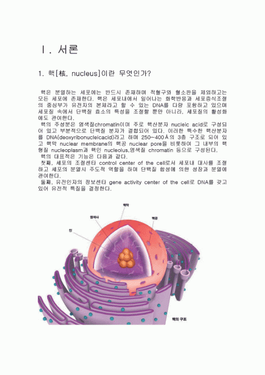 2009년 2학기 식품미생물학 중간시험과제물 C형(핵산의 구조)