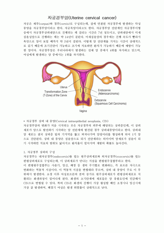 자궁경부암 가다실, 써바릭스, 백신, 유두종 바이러스