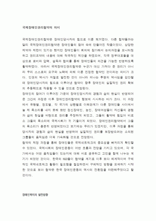 [사회복지] 국제장애인권리협약의 의미와 국내 장애인복지의 방향