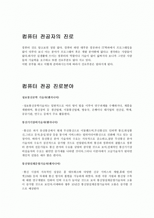 컴퓨터 전공자의 진로