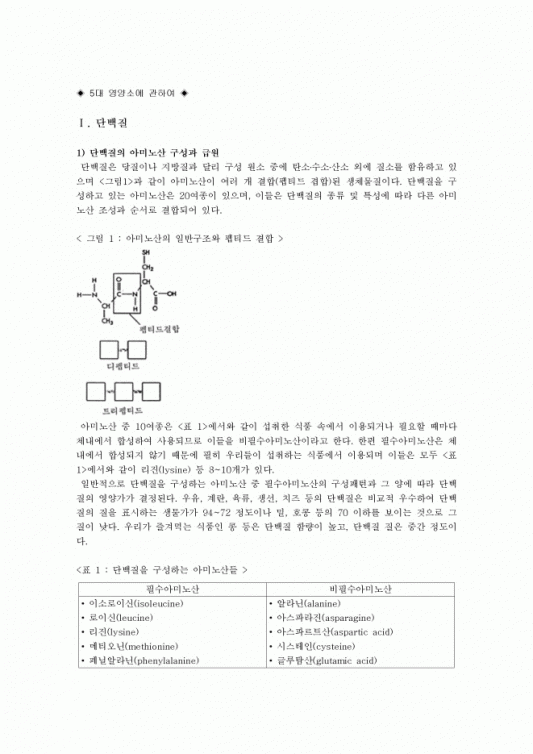 5대 영양소에 관하여(영양학)