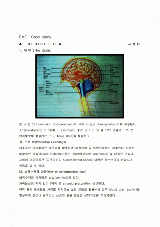 뇌수막염 질환 스터디-한글판