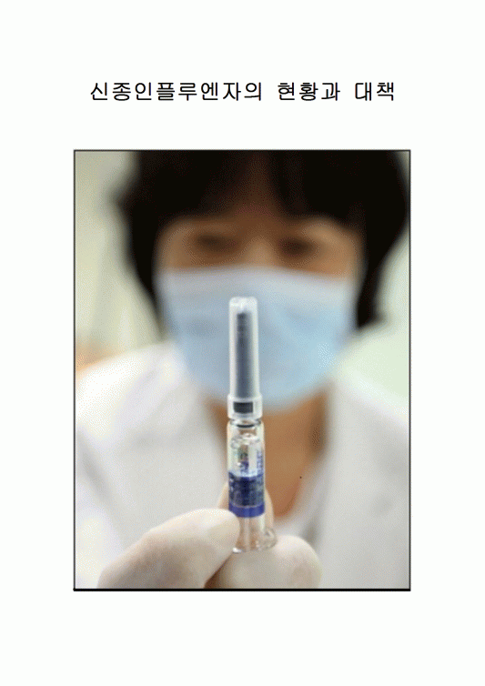 [신종플루]신종플루의 현황과 대응방안-신종플루로 인한 사회병리현상, 신종플루증상, 치료, 예방법, 대책-