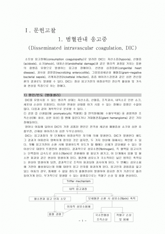 범혈관내 응고증(DIC)과 동맥관개존증(PDA) 문헌고찰과 간호과정