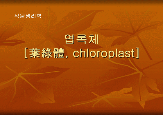 엽록체 [葉綠體, chloroplast] 의 구조와 기능
