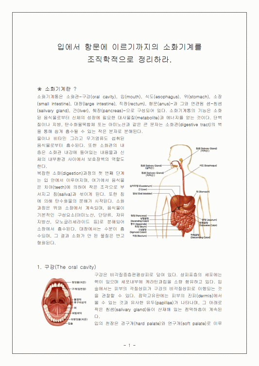 [동물조직학] 입에서 항문에 이르기까지의 소화기계를 조직학적으로 정리