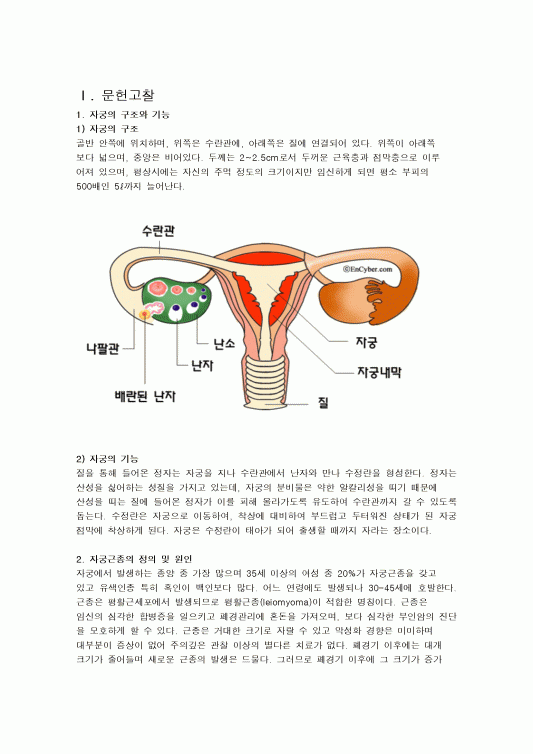 여성병동 자궁근종 케이스