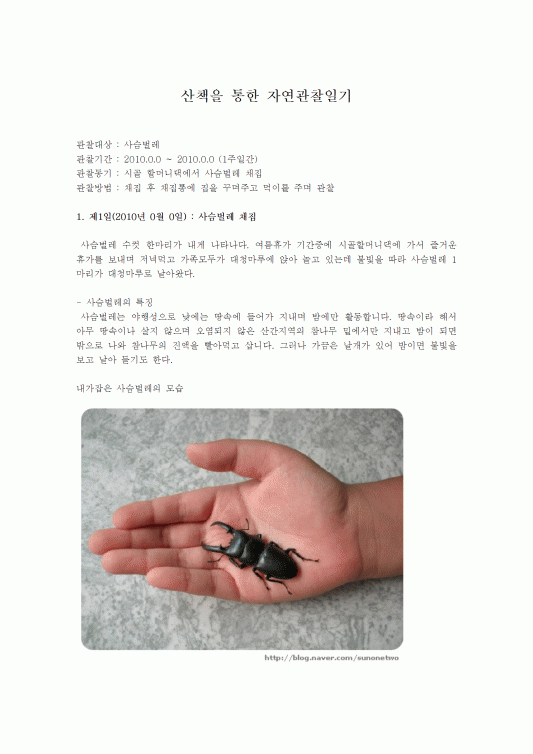 산책을 통한 자연관찰일기