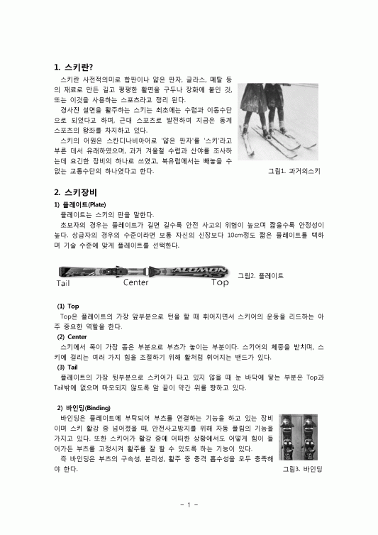 스키수업용 레포트