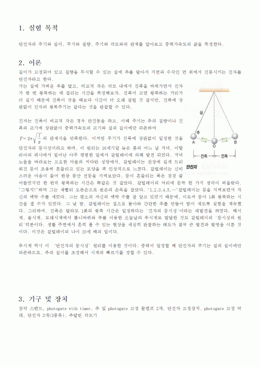 단진자운동