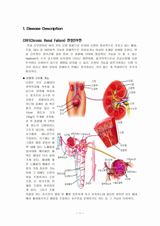 [간호성인내과실습case study] 만성 신부전 CRF Chronic Renal Failure 케이스 스터디