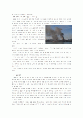 북한의 연평도 포격도발 분석과 우리의 대응방안-19페이지