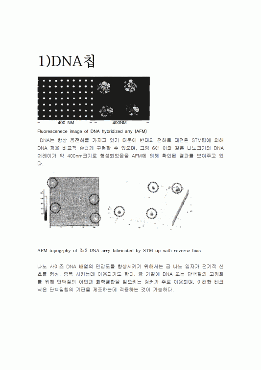 나노 바이오 테크놀로지 세포칩에 대하여