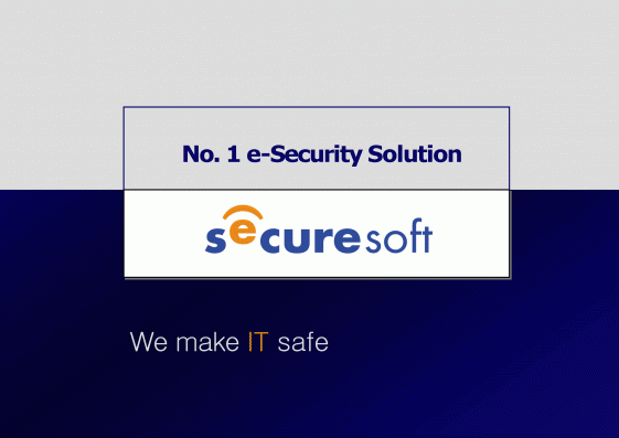 e-Security Solution 회사소개서