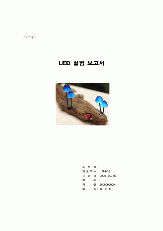 LED 실험 보고서