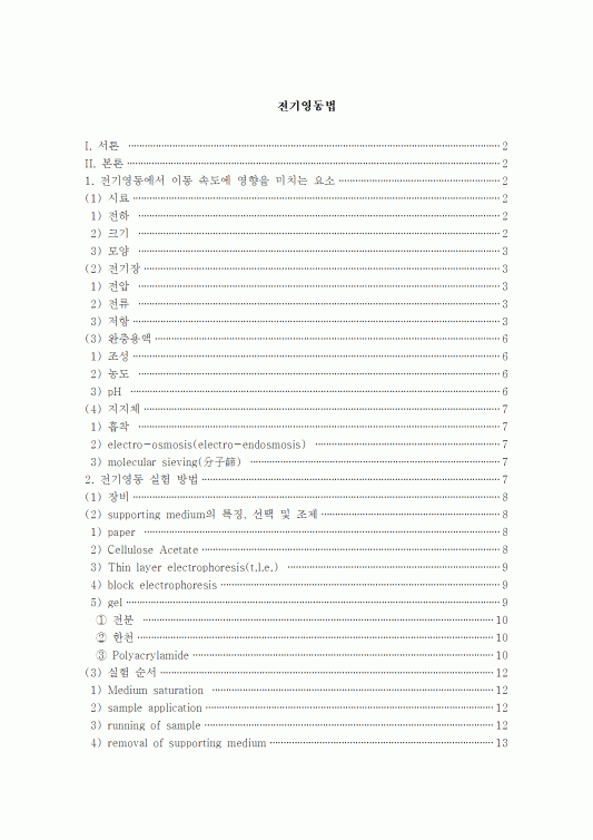 (A+, 전기영동) 전기영동법