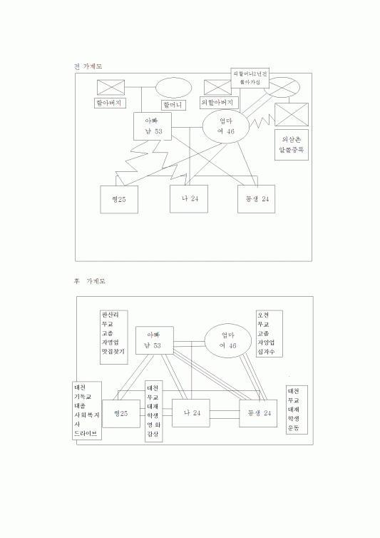 가계도및 가족치료및 이해및 이론적 설명