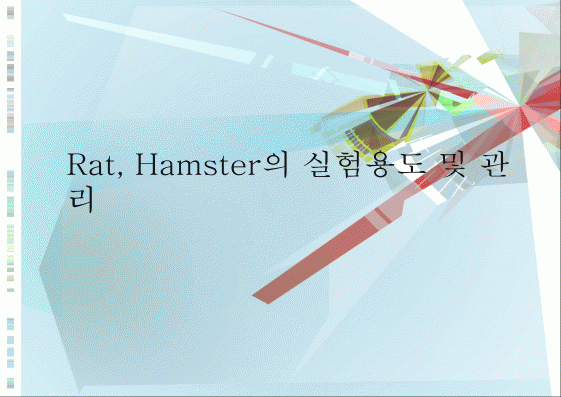 (실험동물) Rat, Hamster의 실험용도 및 관리