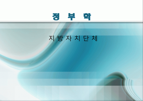 [정부학] 지방자치 단체 - 강남구