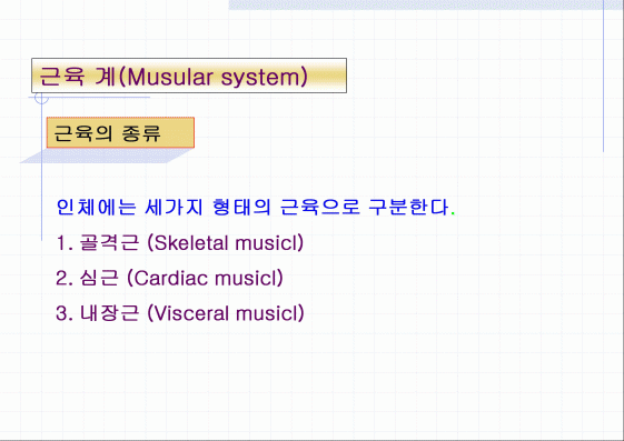 근육계(Musular system) 근육의 종류