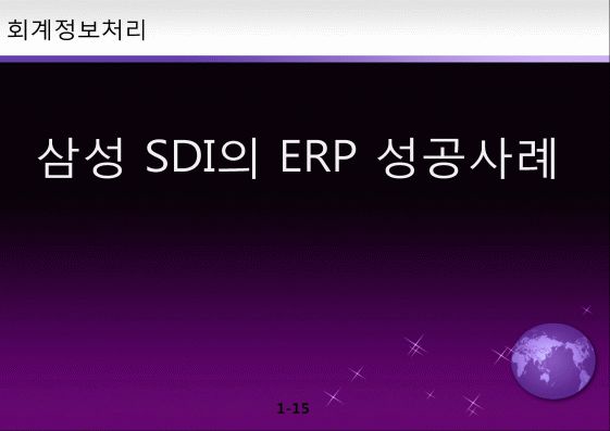 회계정보처리 삼성 SDI의 ERP 성공사례