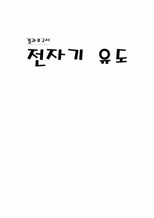 물리학실험19(전자기유도)