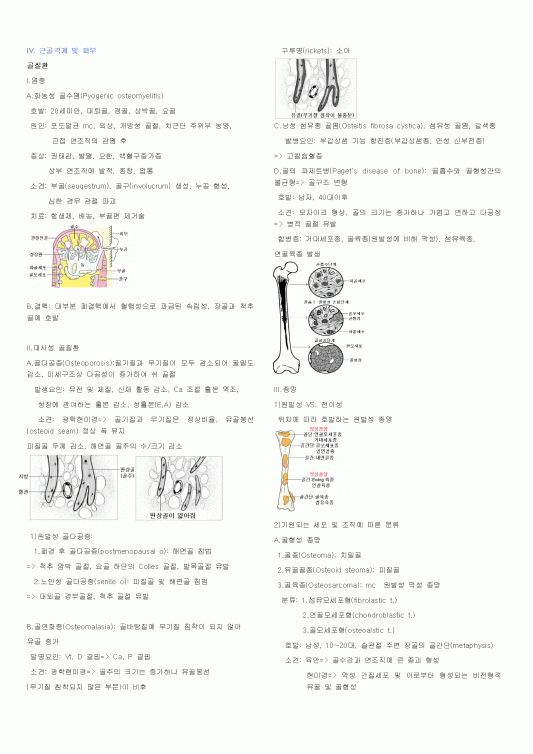 IV. 근골격계 및 피부 - 골질환 & 골격근 질환 & 피부