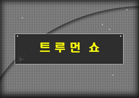 트루먼쇼 발표 시청 감상 소감문(자유의지)