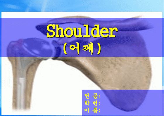 어깨 (Shoulder)